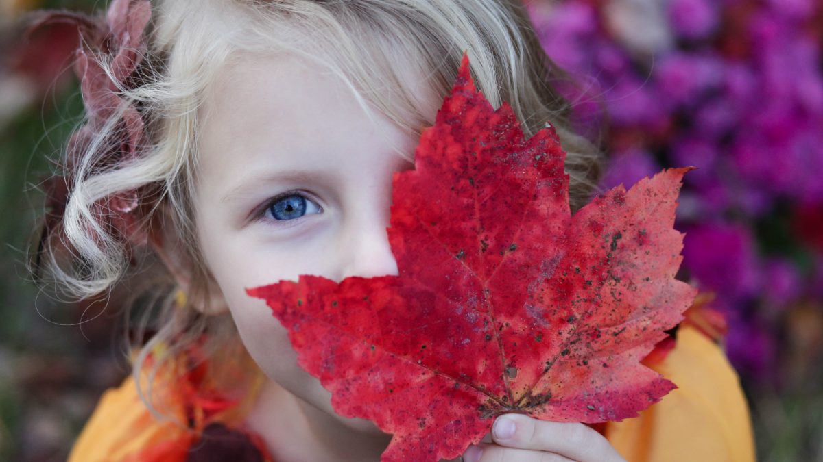 5 Fun Fall Activities | The ActivityHero Blog